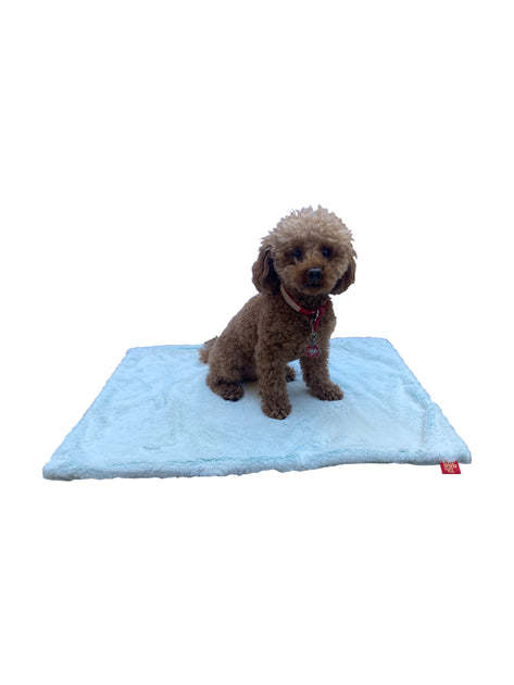 Blankets - Minkie Binkies – The Dog Squad