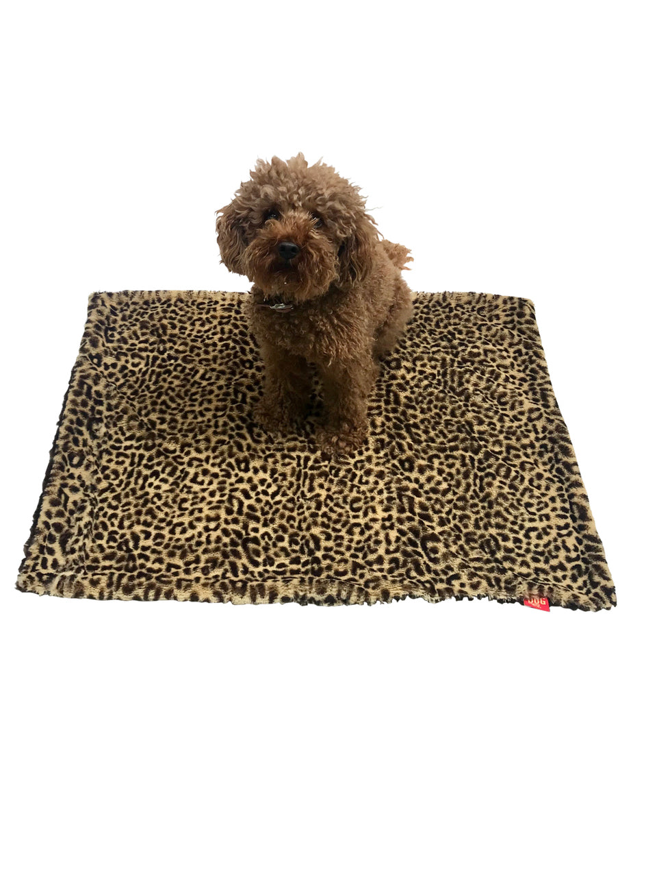 Blankets - Minkie Binkies – The Dog Squad