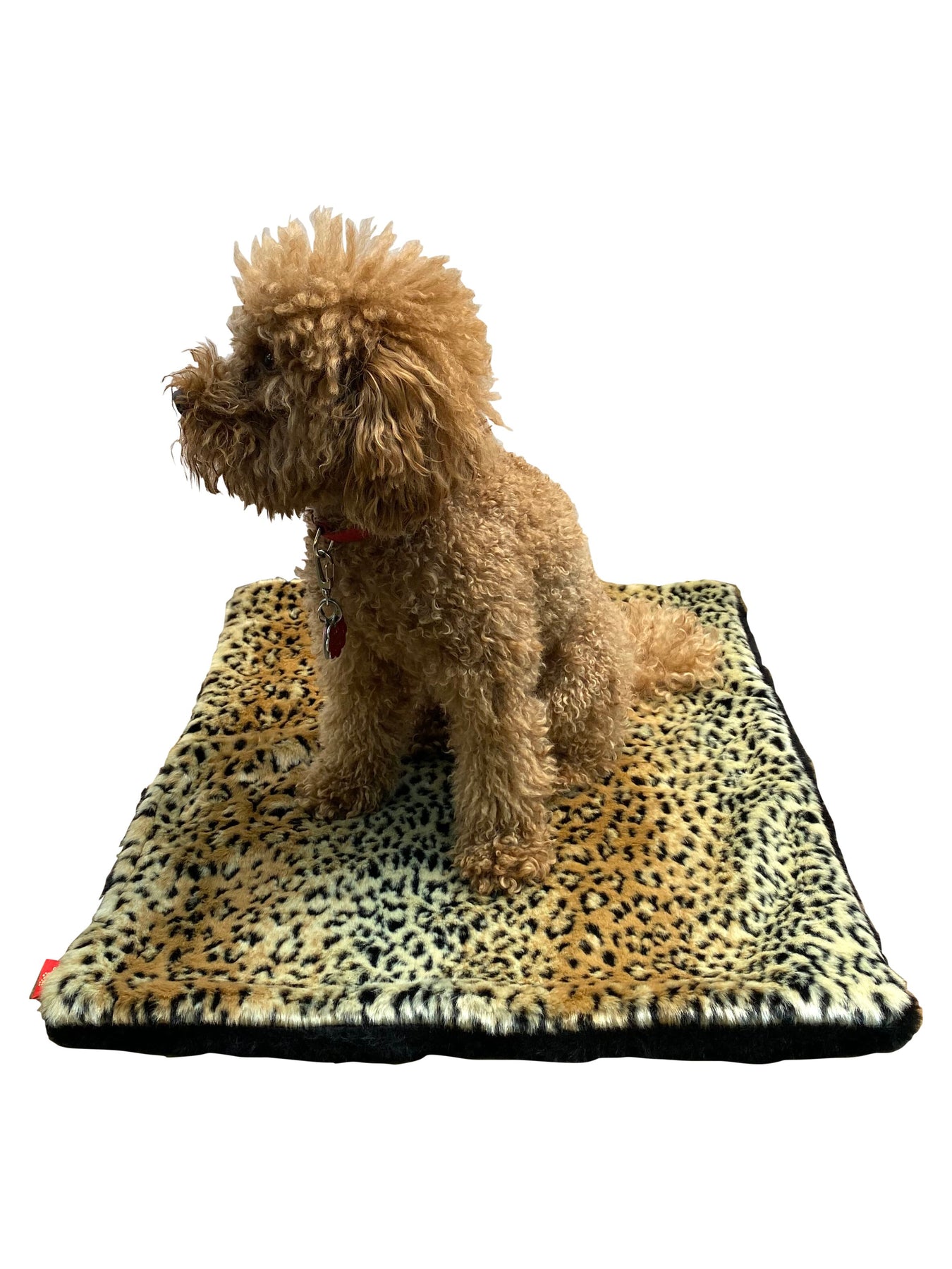 Blankets - Magic Mats – The Dog Squad